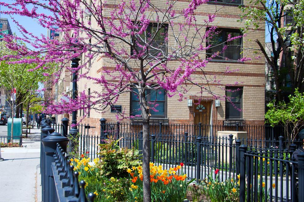 Breen Towers | 241 Sixth Avenue, Manhattan | Corcoran