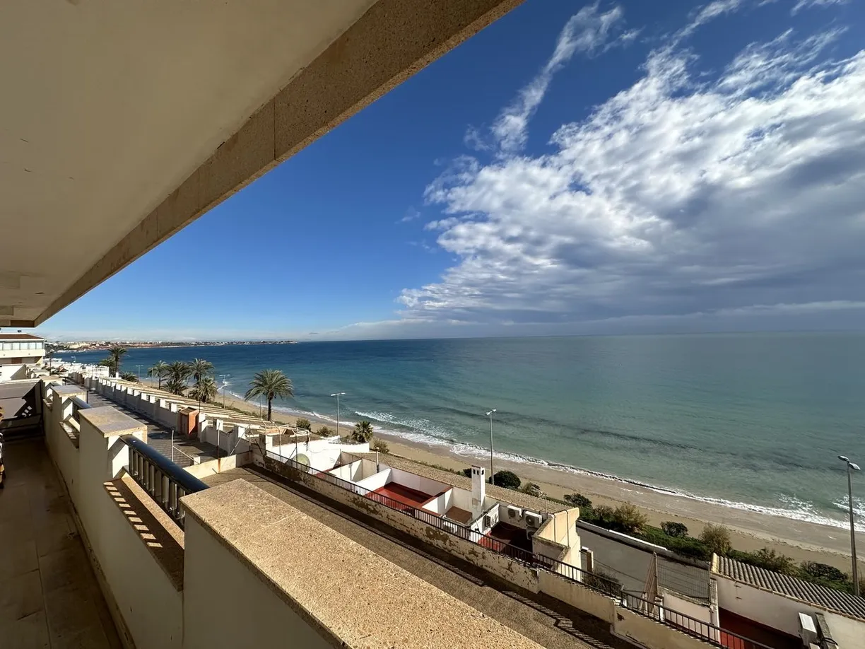Mil Palmeras, Mil Palmeras Property for sale