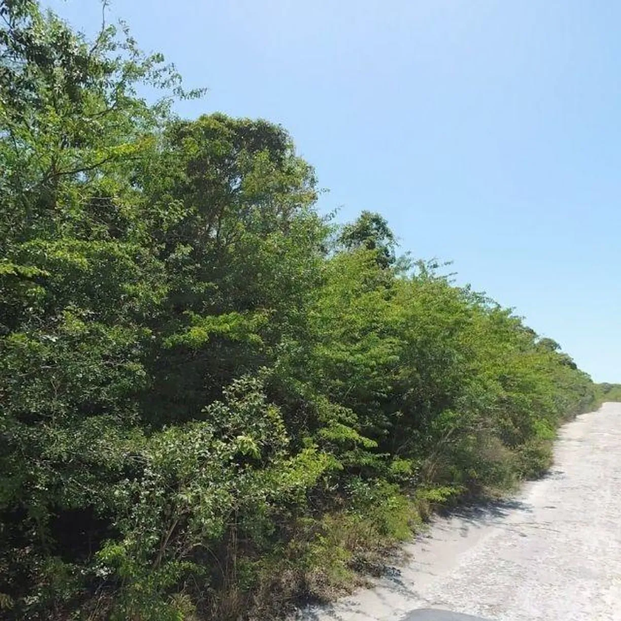 BAHAMA SOUND #1535& 1536, Bahama Sound Property for sale