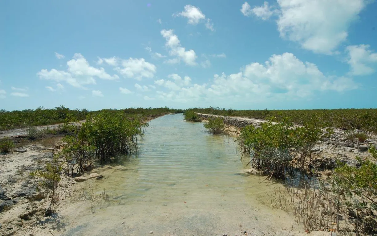 LOT 1075 BAHAMA SOUND 4 E, Bahama Sound Property for sale