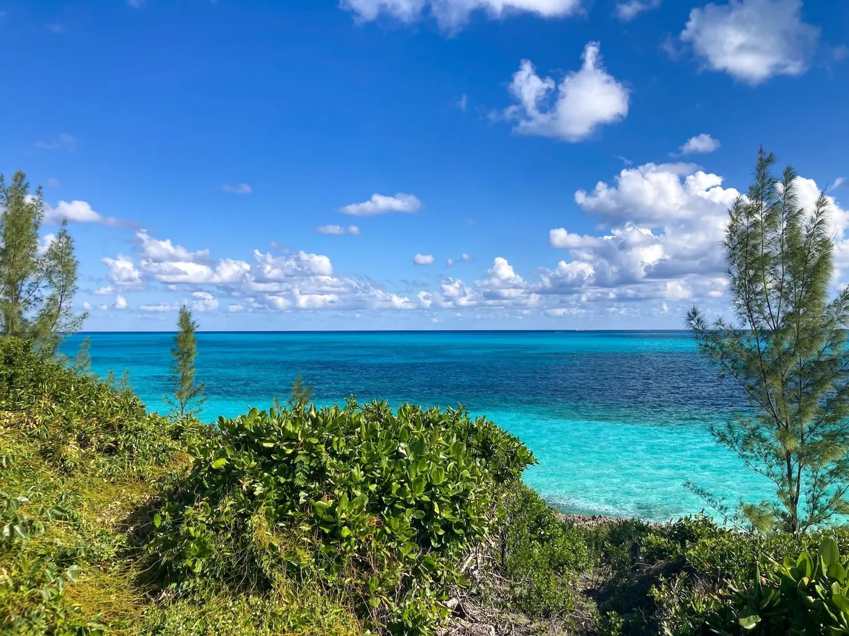KING'S HIGHWAY, MAN-O-WAR, Man-O-War Cay Property for sale