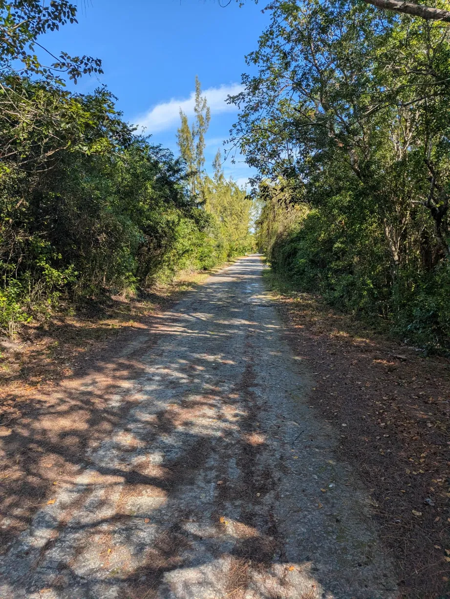 29 PONCIANA DRIVE BAHAMA PAL #29, Bahama Palm Shores Property for sale