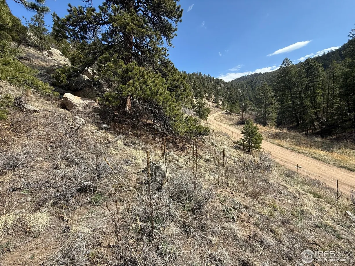 1050 Pine Tree, Estes Park, CO 80517 Property for sale