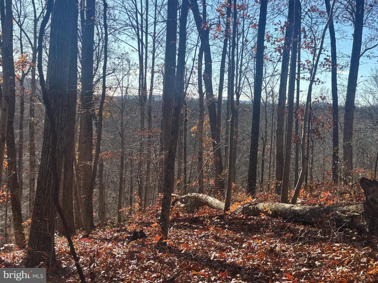 38196 Lime Kiln Rd, MIDDLEBURG, VA 20117 Property for sale