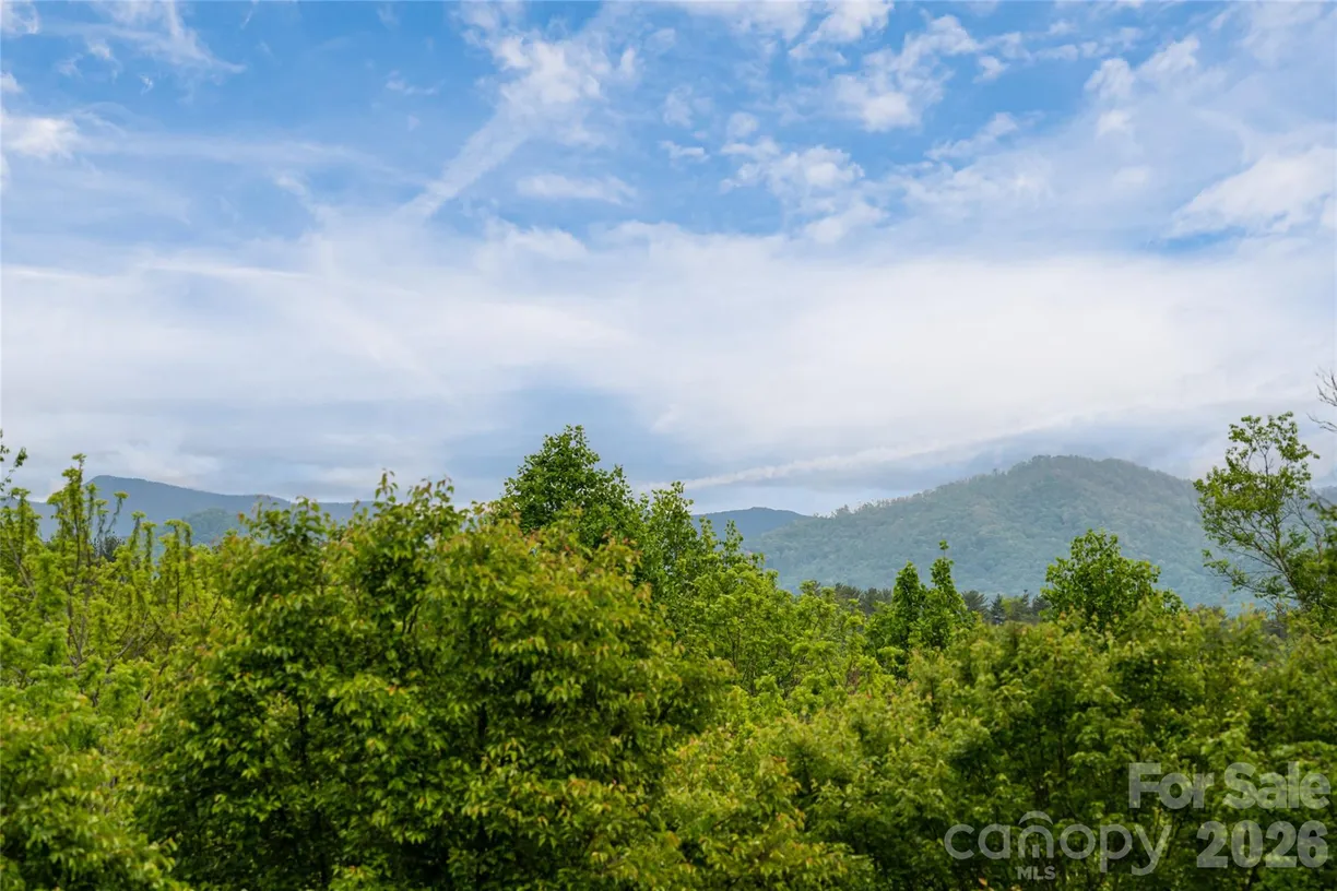 56 Donna Lane, Alexander, NC 28701 Property for sale