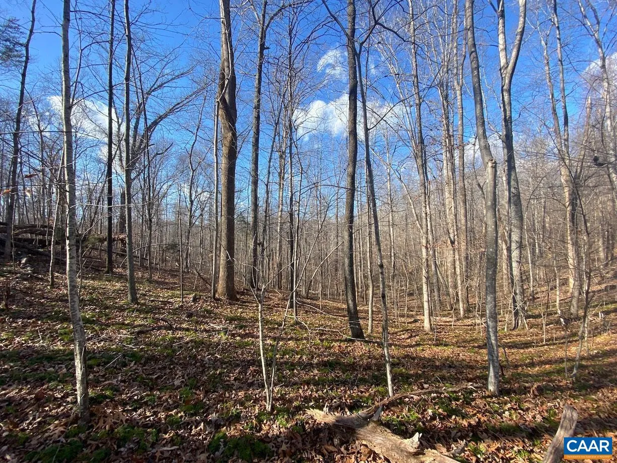 WALNUT GROVE LN, Lovingston, VA 22949 Property for sale