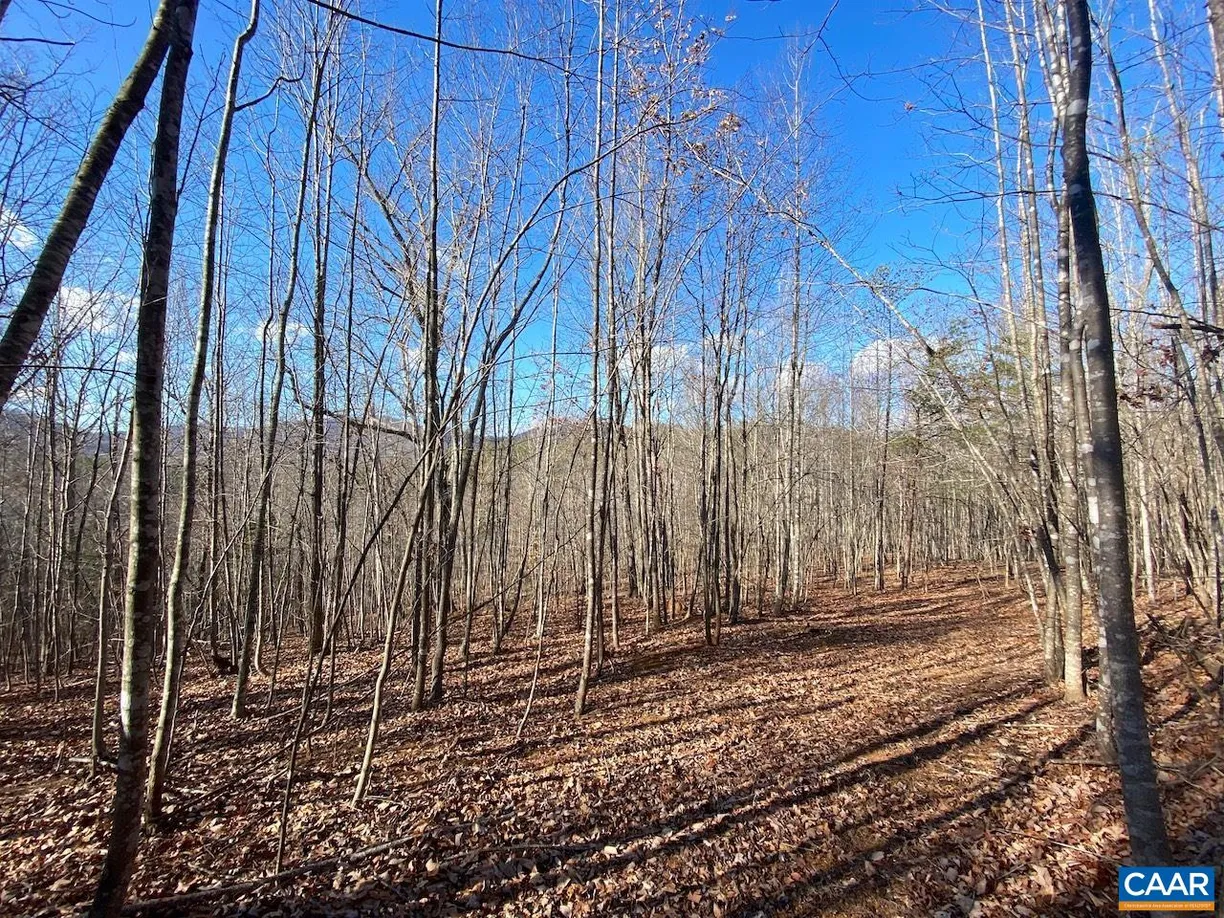 WALNUT GROVE LN, Lovingston, VA 22949 Property for sale