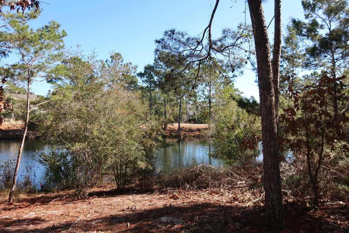 1606 Shark's Tooth Trail, Panama City Beach, FL 32413 Property for sale