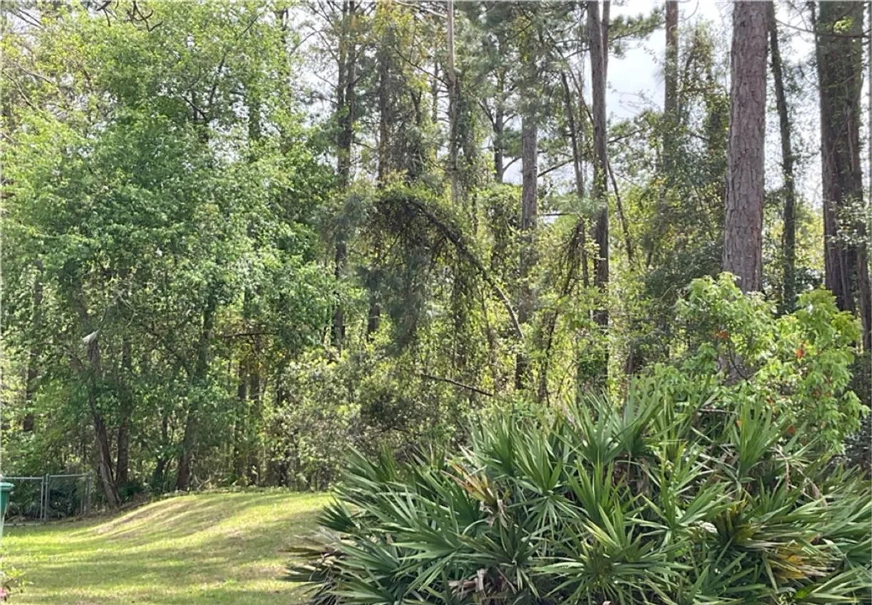 2.18 Acres Sailfish Drive, Darien, GA 31305 Property for sale