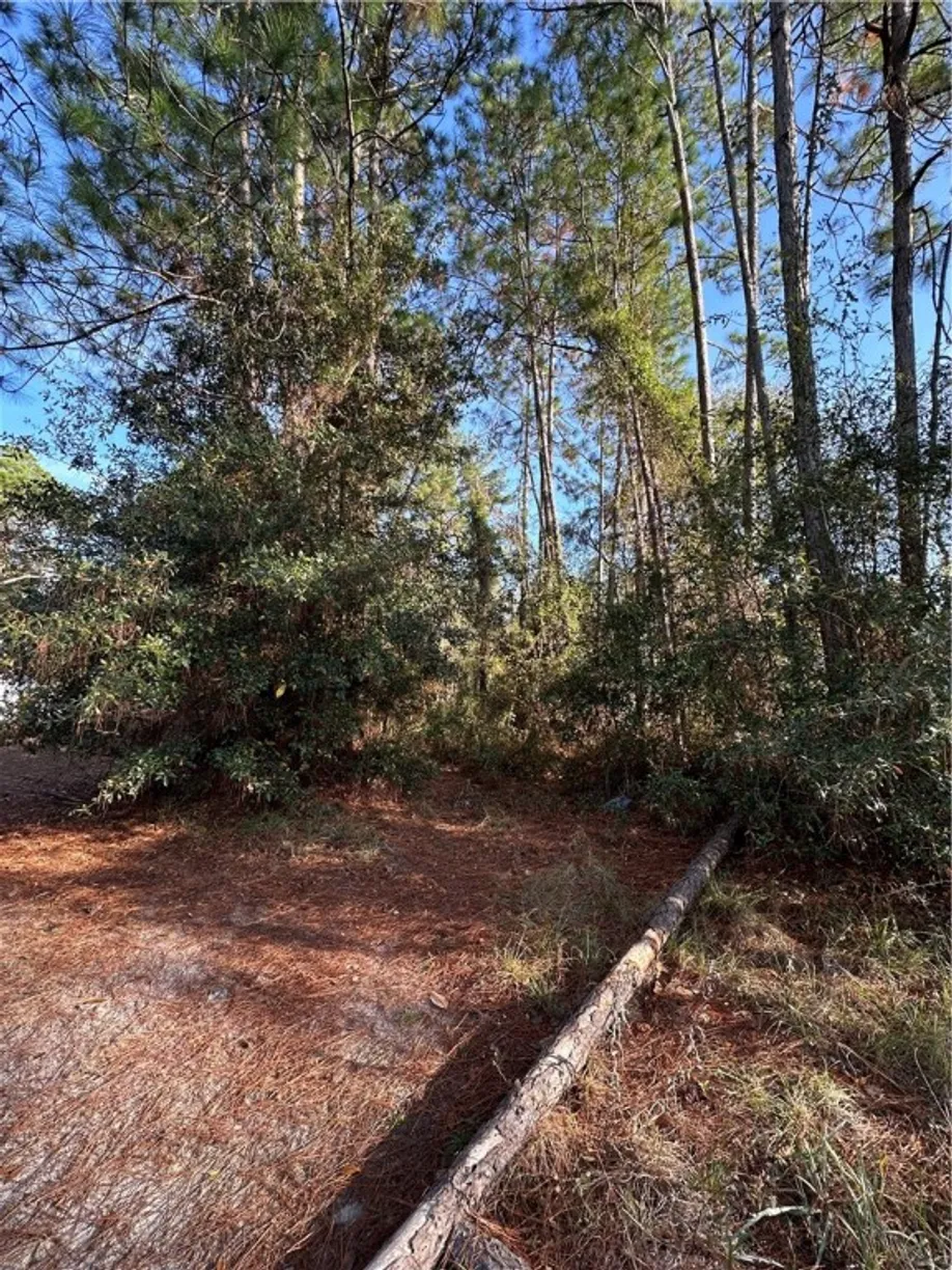2.18 Acres Sailfish Drive, Darien, GA 31305 Property for sale