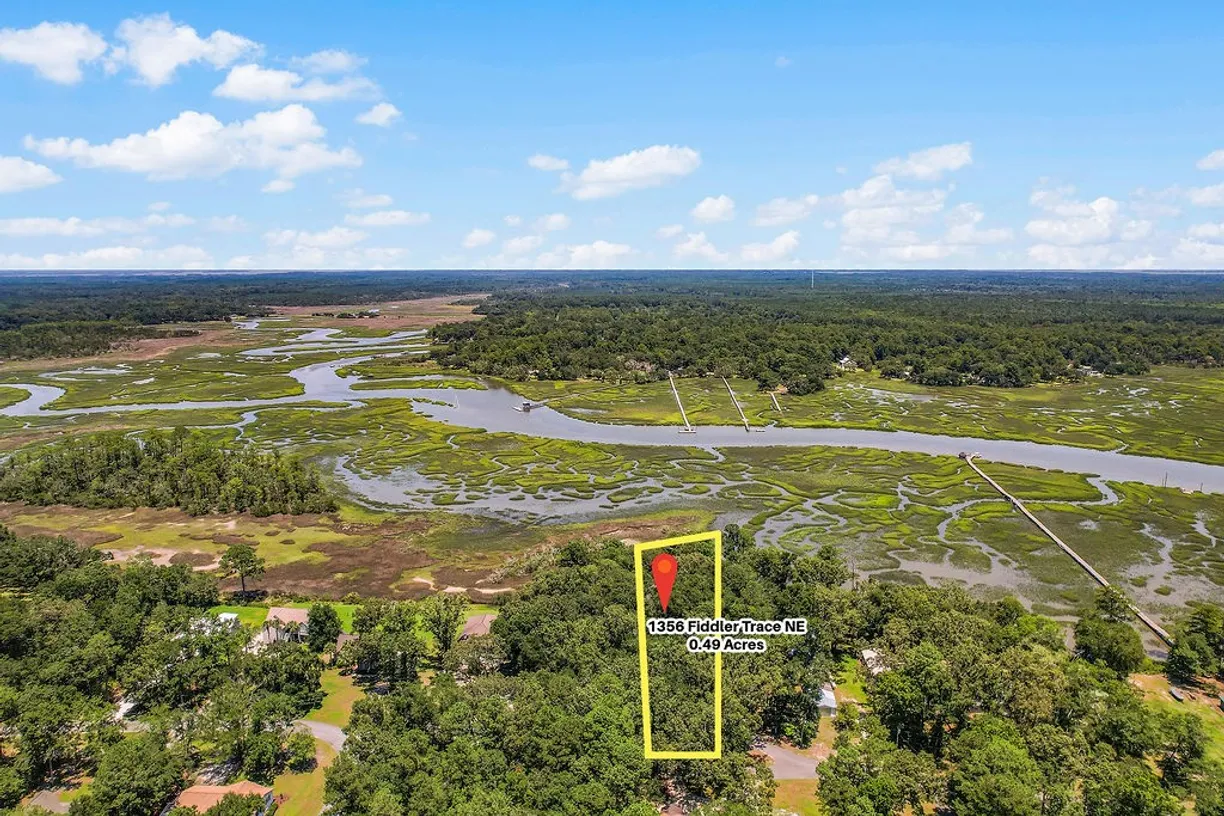 1356 Fiddler Trace NE, Townsend, GA 31331 Property for sale