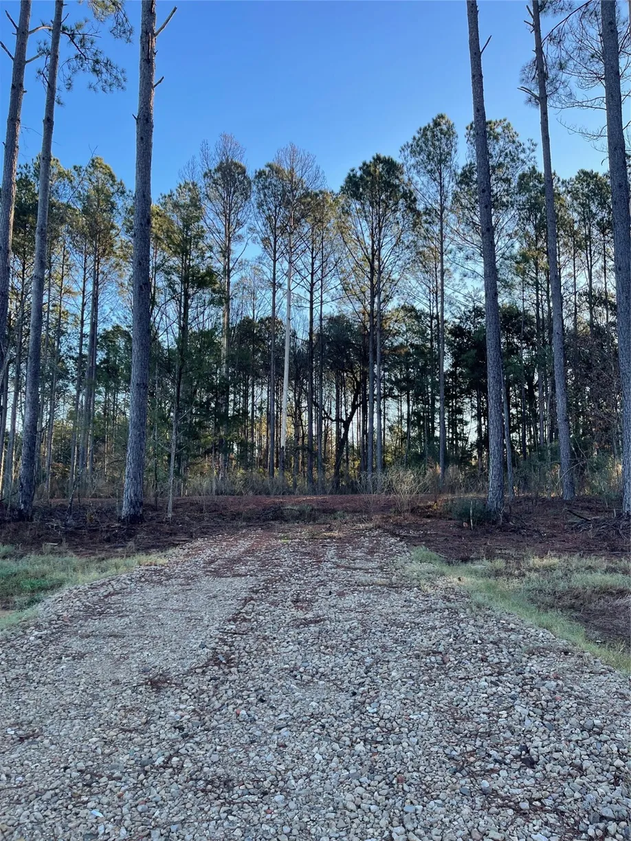 11362 Annie Creek Drive, Willis, TX 77378 Property for sale