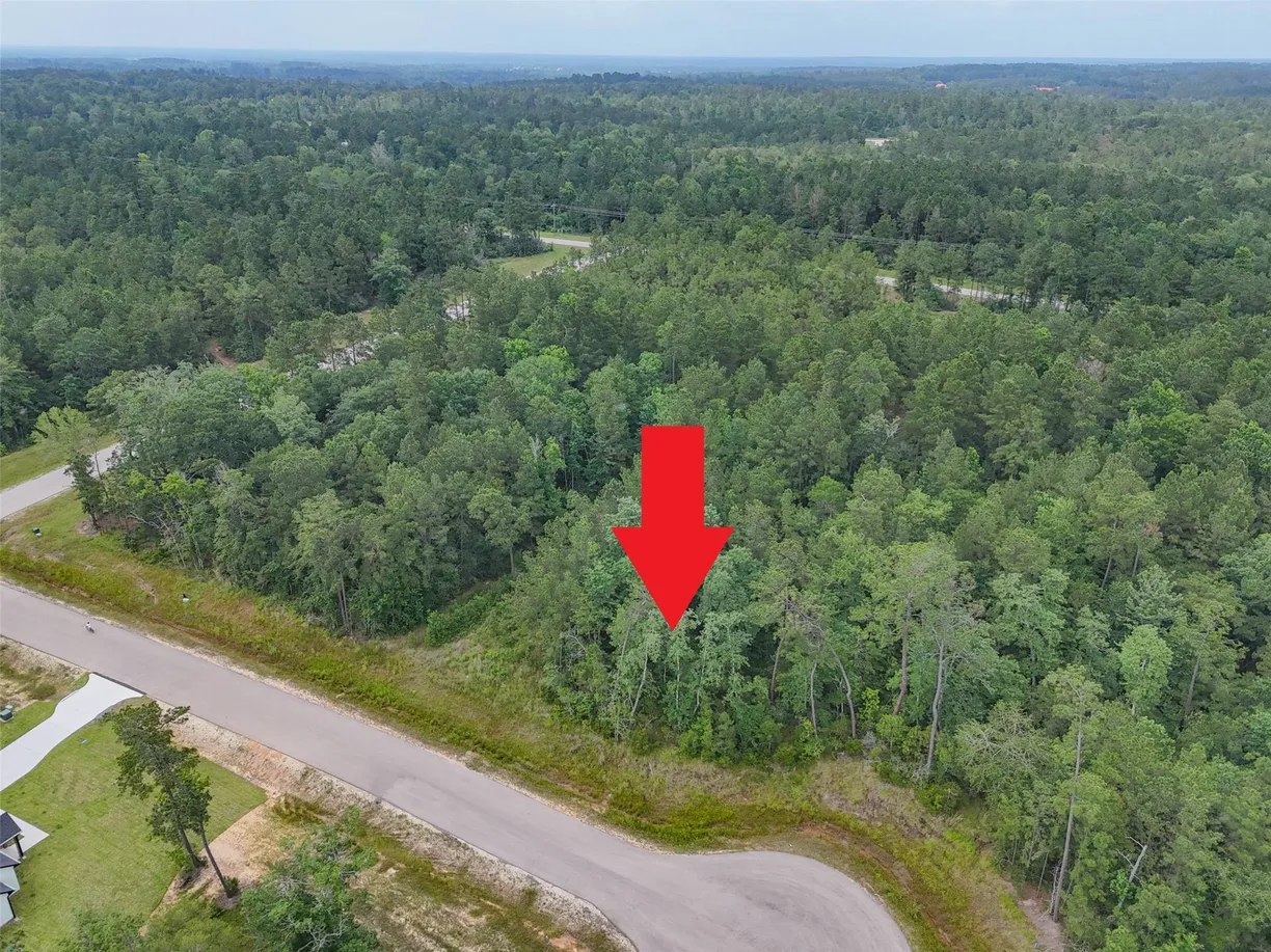 106 Eagle Run Road, Willis, TX 77378 Property for sale