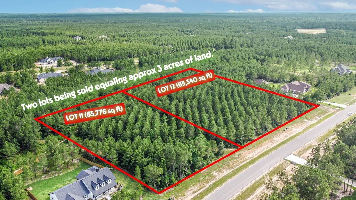 15917 Ridge Oak Road, Willis, TX 77378 Property for sale