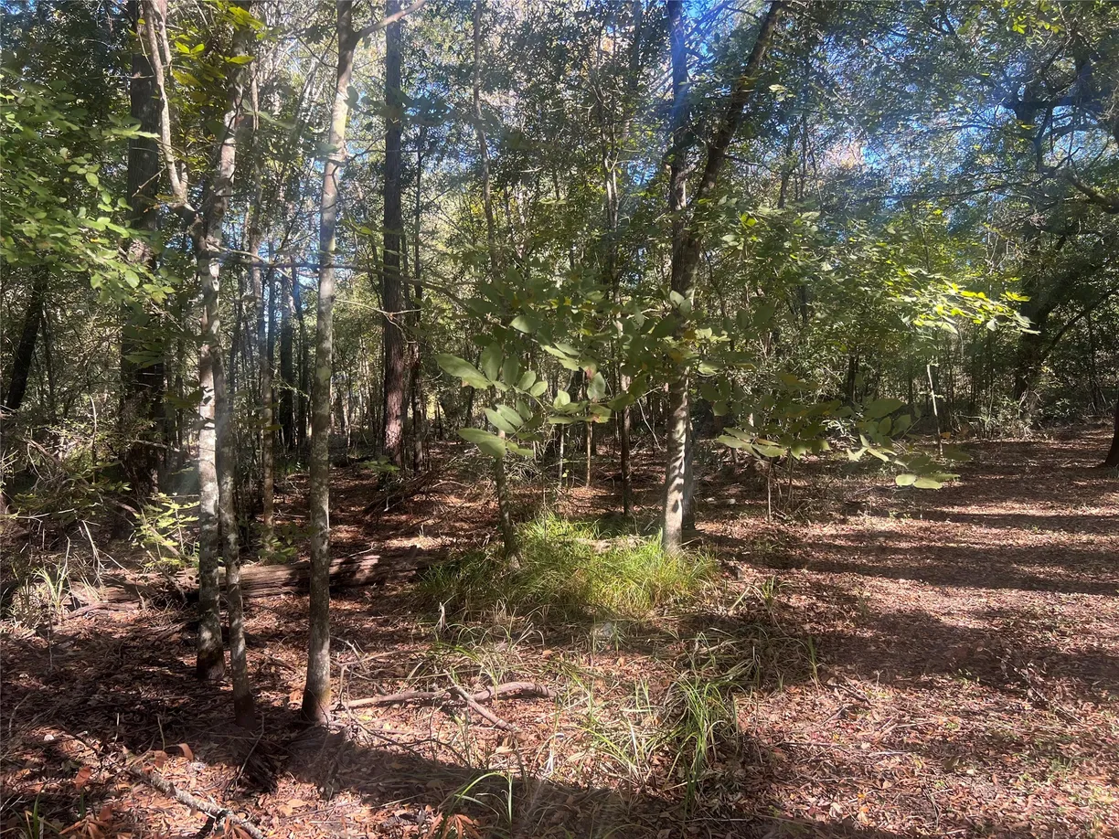 TBD Arrowhead Trail, Livingston, TX 77351 Property for sale