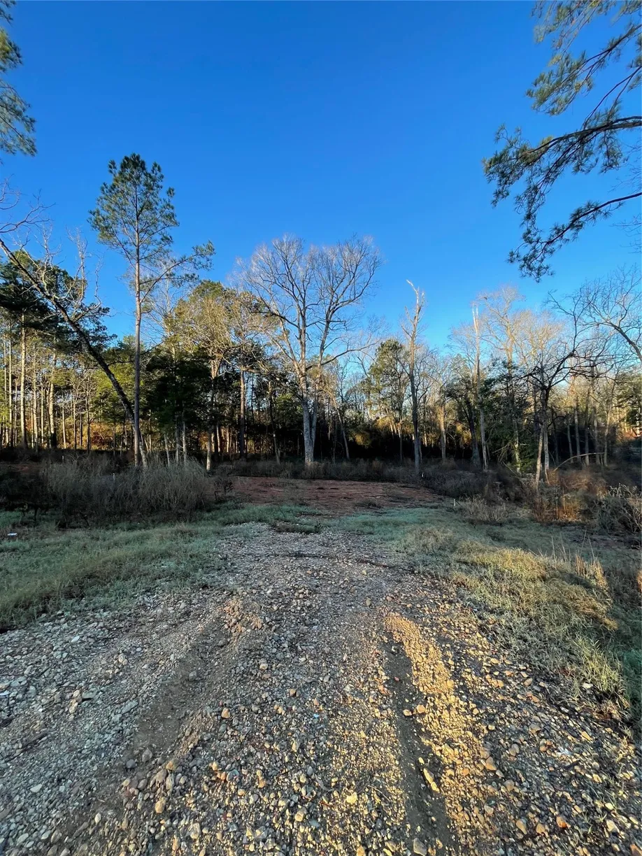 11351 Annie Creek Drive, Willis, TX 77378 Property for sale