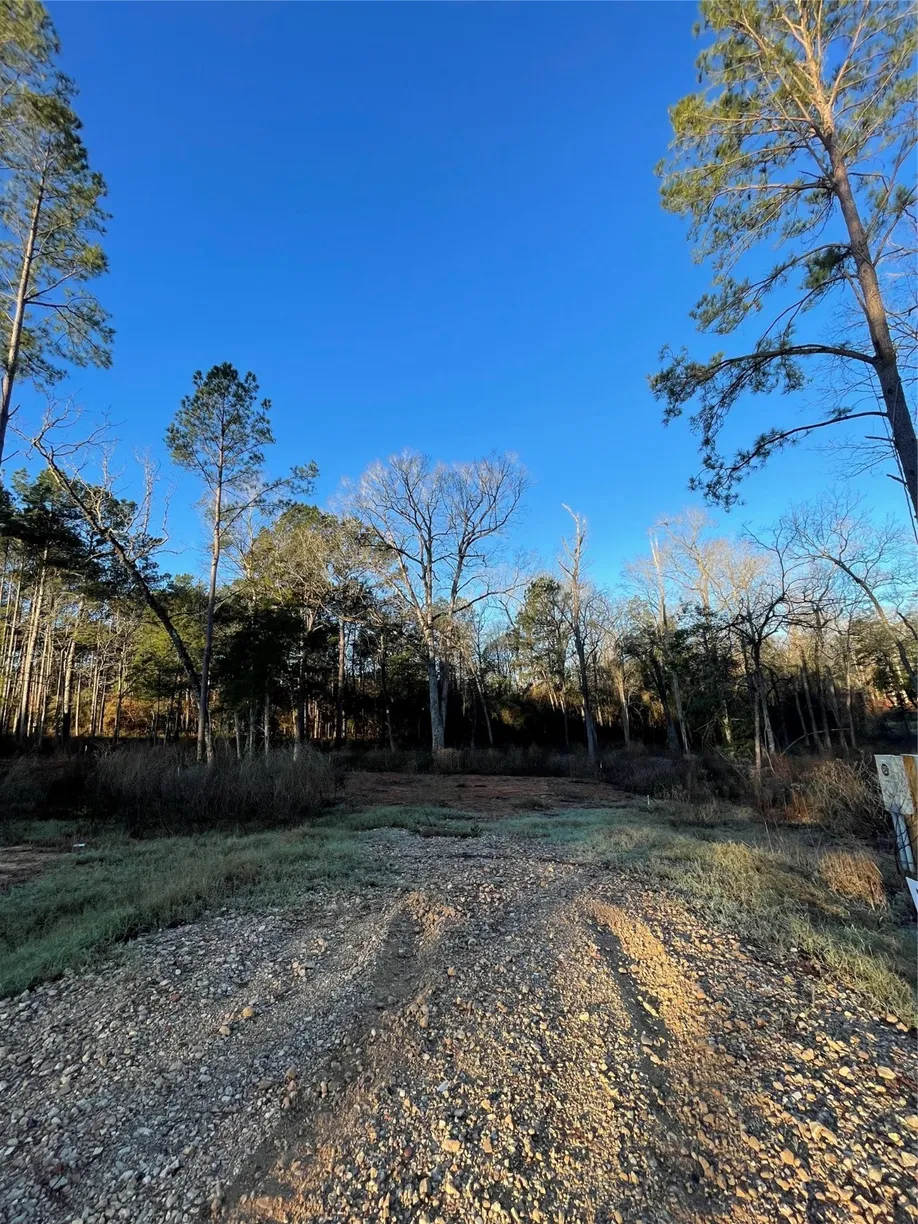 11351 Annie Creek Drive, Willis, TX 77378 Property for sale