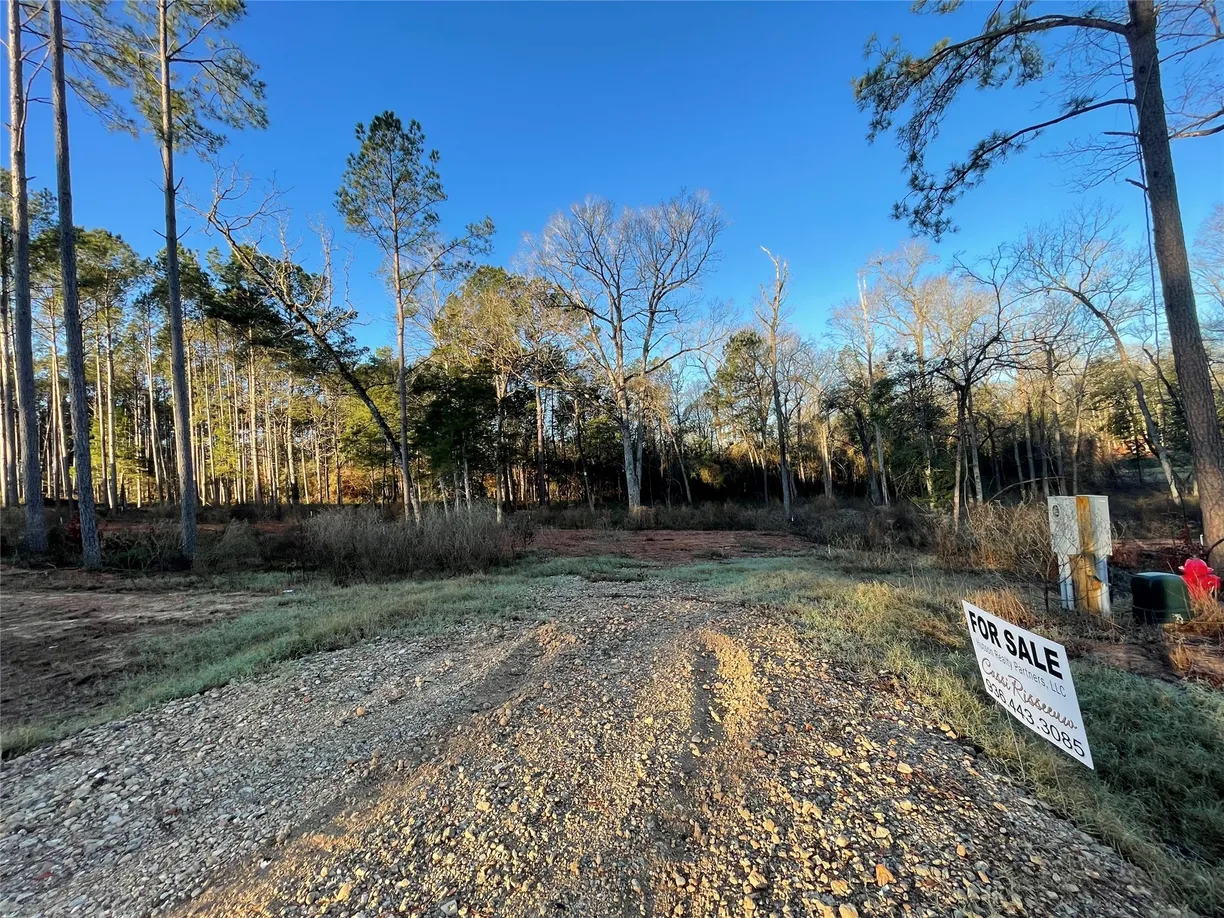 11351 Annie Creek Drive, Willis, TX 77378 Property for sale