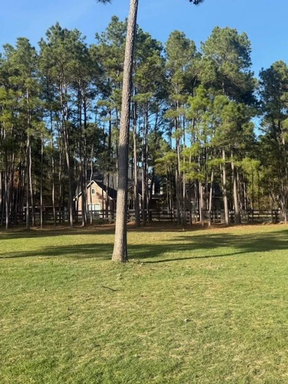 17709 W Terrace Oaks Drive, Waller, TX 77484 Property for sale