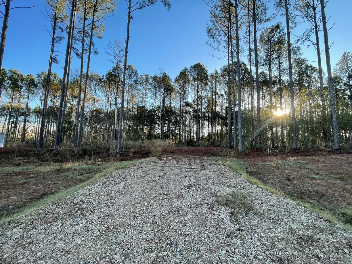 11356 Annie Creek Drive, Willis, TX 77378 Property for sale