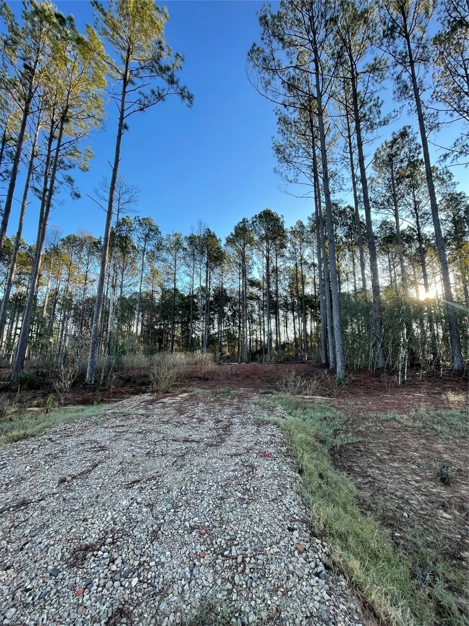 11356 Annie Creek Drive, Willis, TX 77378 Property for sale