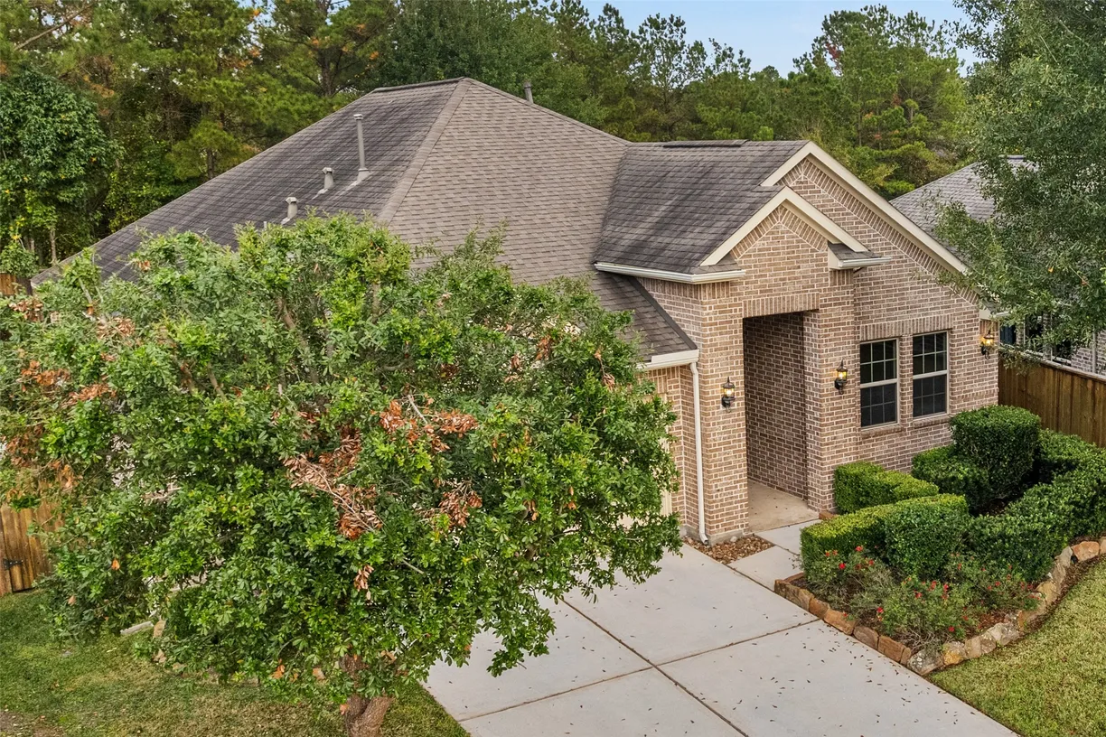 120 Crinium Lily Court, Montgomery, TX 77316 Property for sale