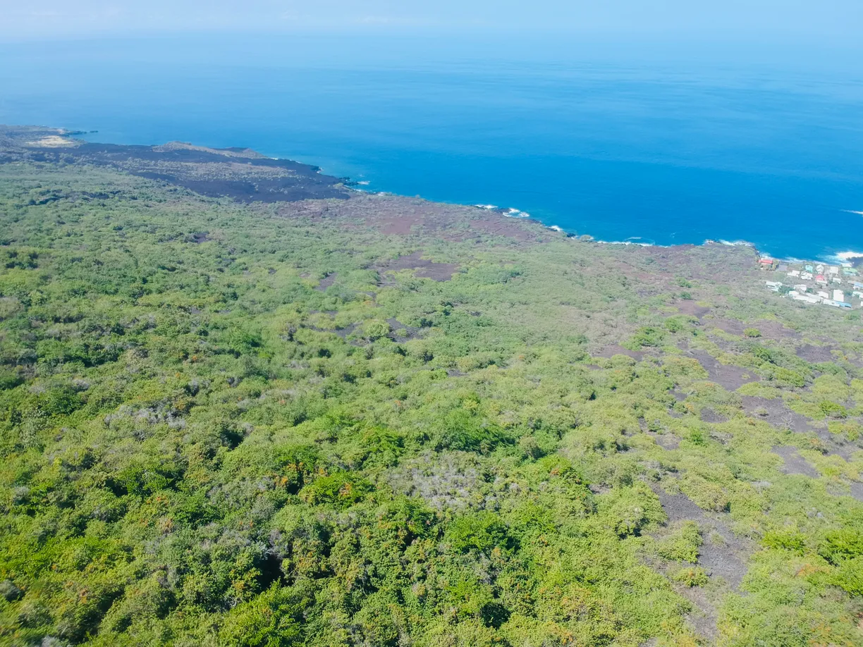 87-3143 HAWAII BELT RD, Captain Cook, HI 96704 Property for sale