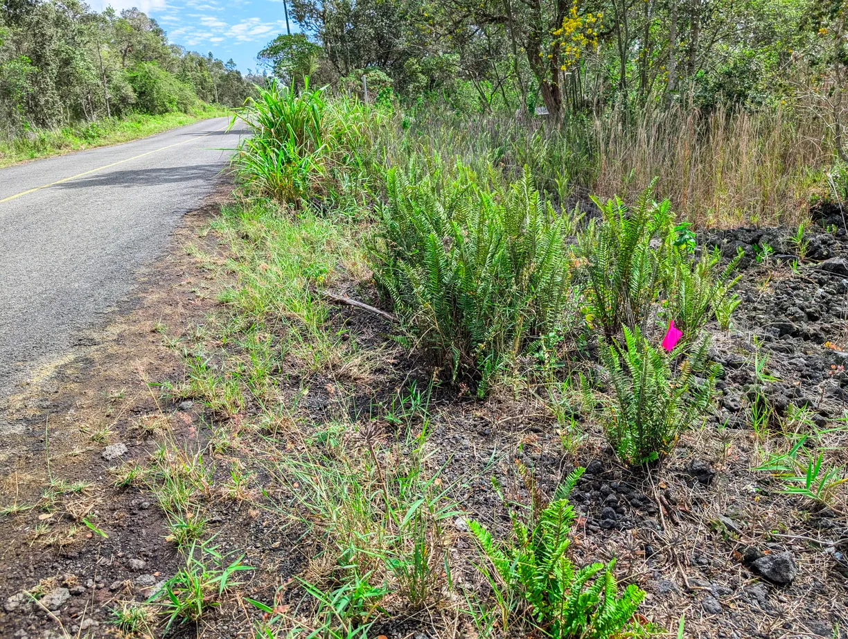 92-1524 CORAL PARKWAY, Ocean View, HI 96737 Property for sale