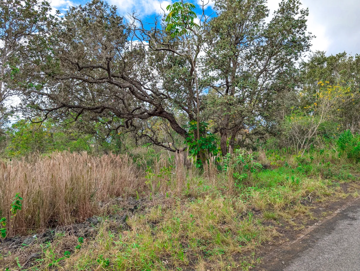 92-1524 CORAL PARKWAY, Ocean View, HI 96737 Property for sale