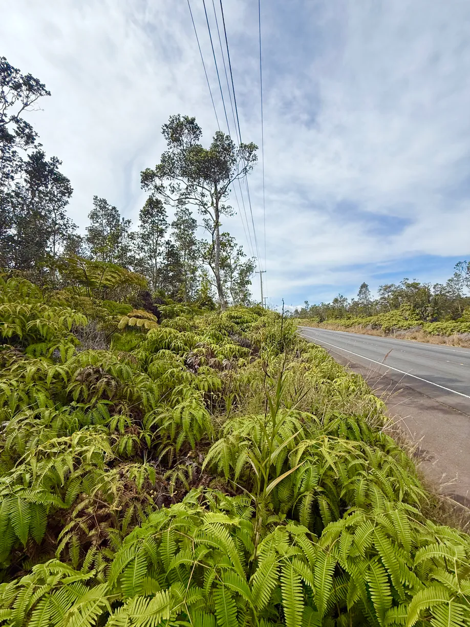 VOLCANO RD, Volcano, HI 96785 Property for sale