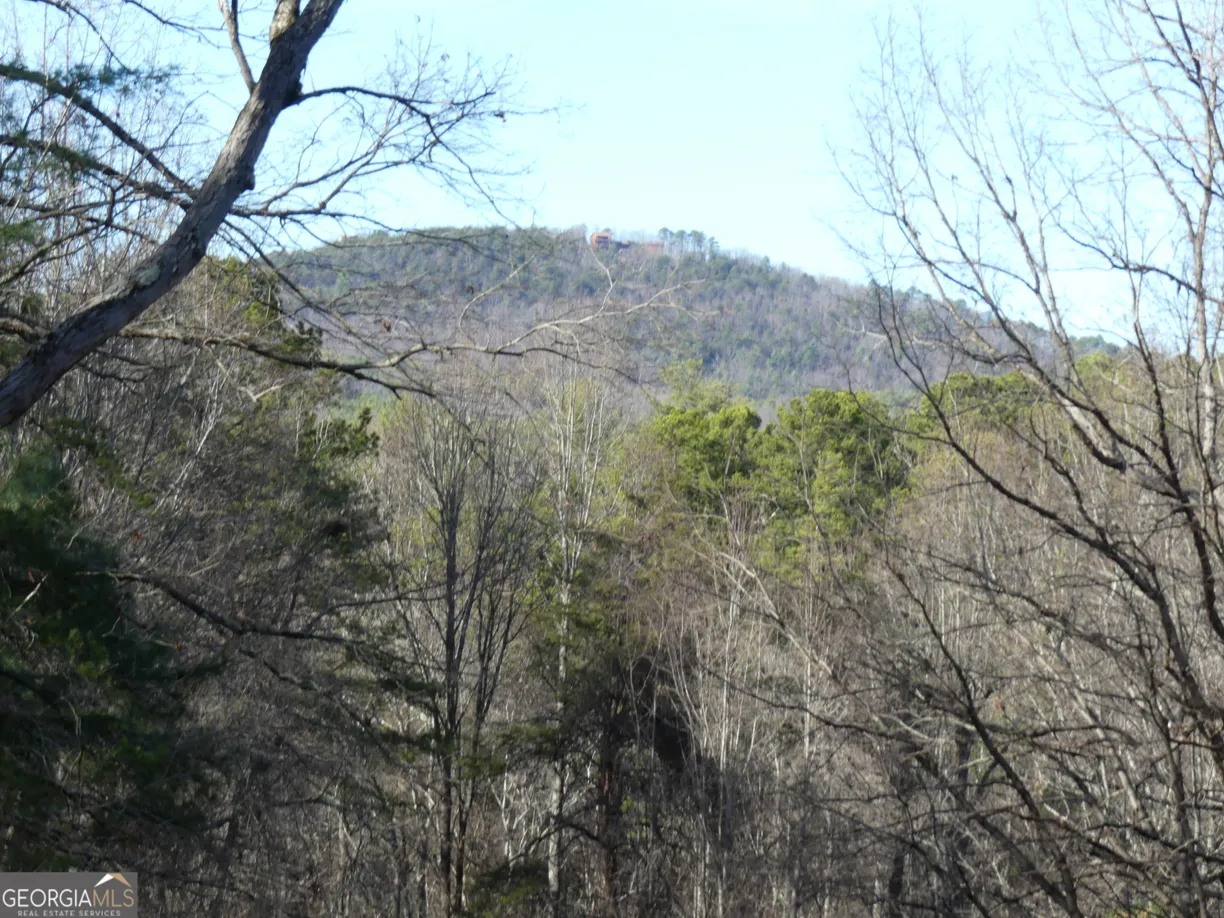 225 Hilltop Ln, Clarkesville, GA 30523 Property for sale