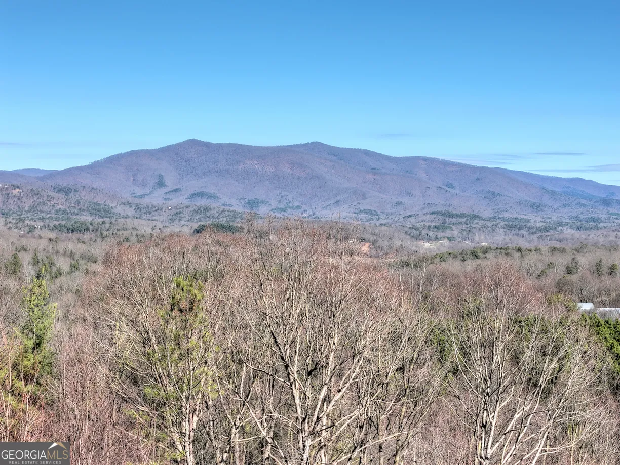 100 Foxpaw Leaf Court, Ellijay, GA 30536 Property for sale