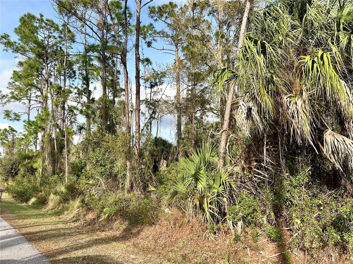 CLEO STREET, NORTH PORT, FL 34286 Property for sale