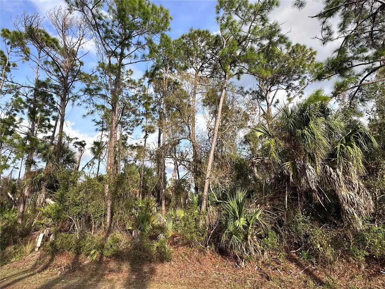 CLEO STREET, NORTH PORT, FL 34286 Property for sale