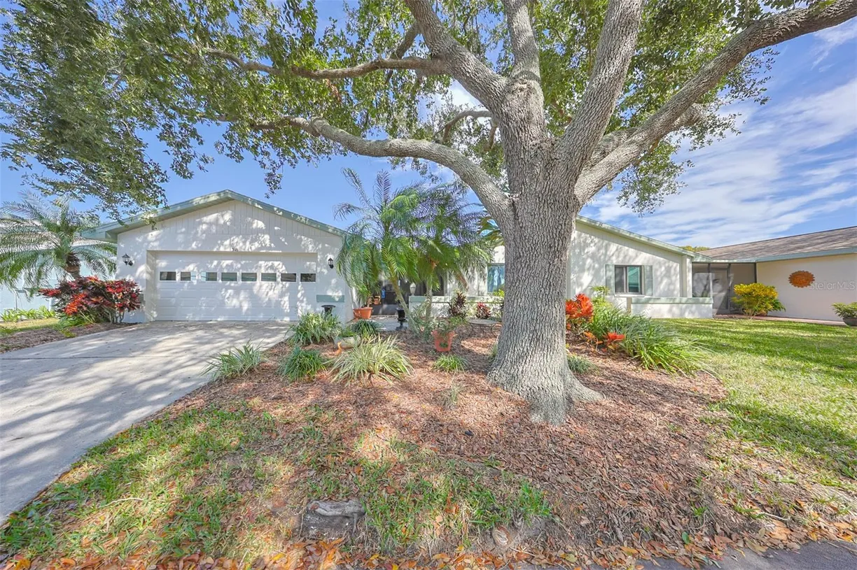 1318 LELAND DRIVE, SUN CITY CENTER, FL 33573 Property for sale