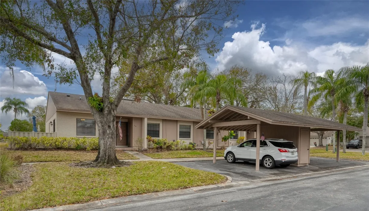 20 SYLVIA PLACE, OLDSMAR, FL 34677 Property for sale