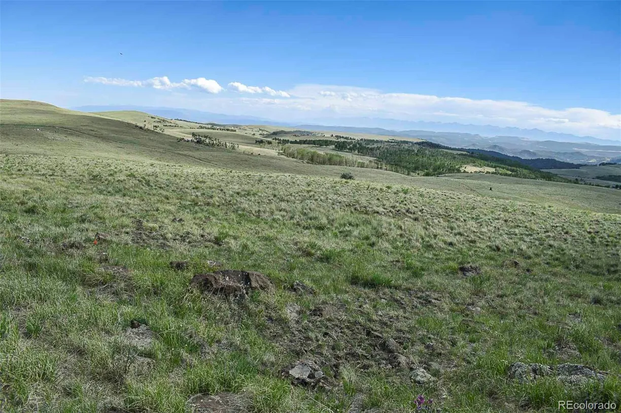 00 Bear Cat Road, Guffey, CO 80820 Property for sale