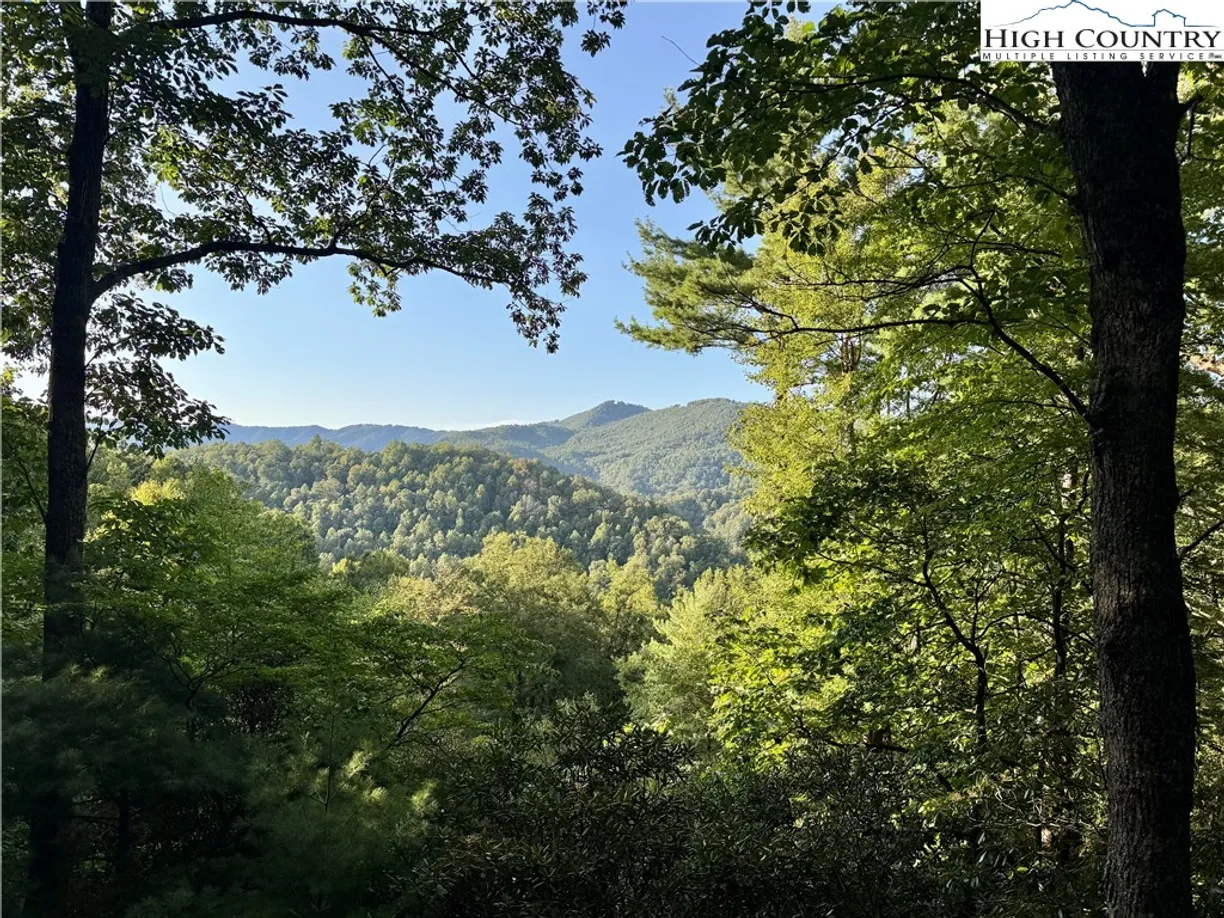 TBD Bear Paw Road, Deep Gap, NC 28618 Property for sale