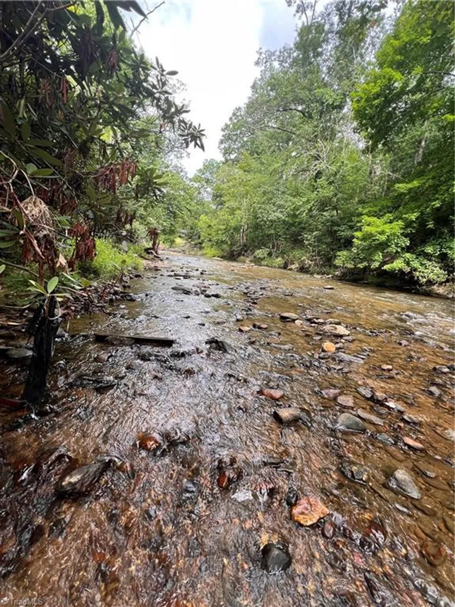 1019 US Highway 21, Sparta, NC 28675 Property for sale