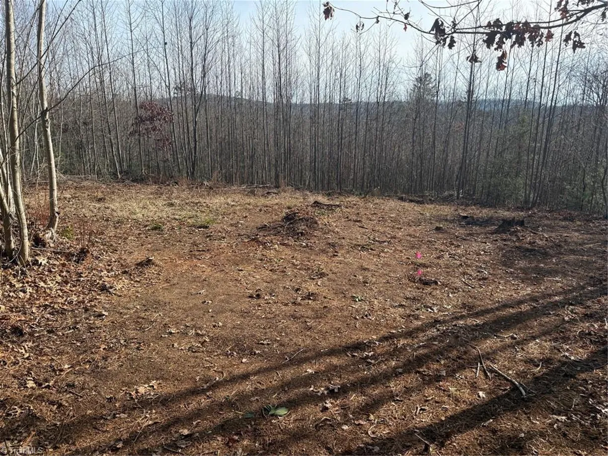 Lot 41 & 42 Billings Hill Church Road, Traphill, NC 28685 Property for sale
