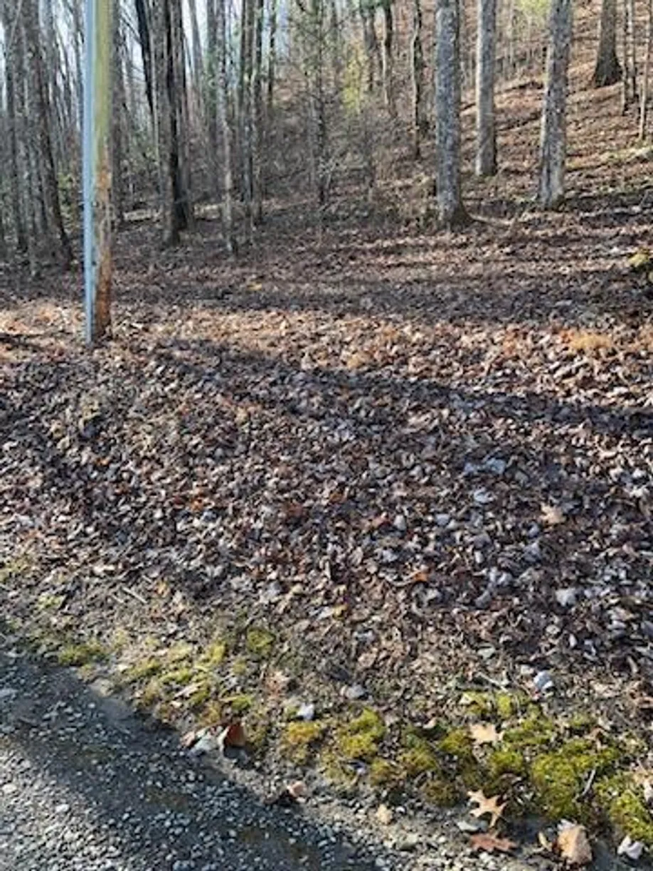 26 Soapstone Creek Circle #26C, Hiawassee, GA 30546 Property for sale