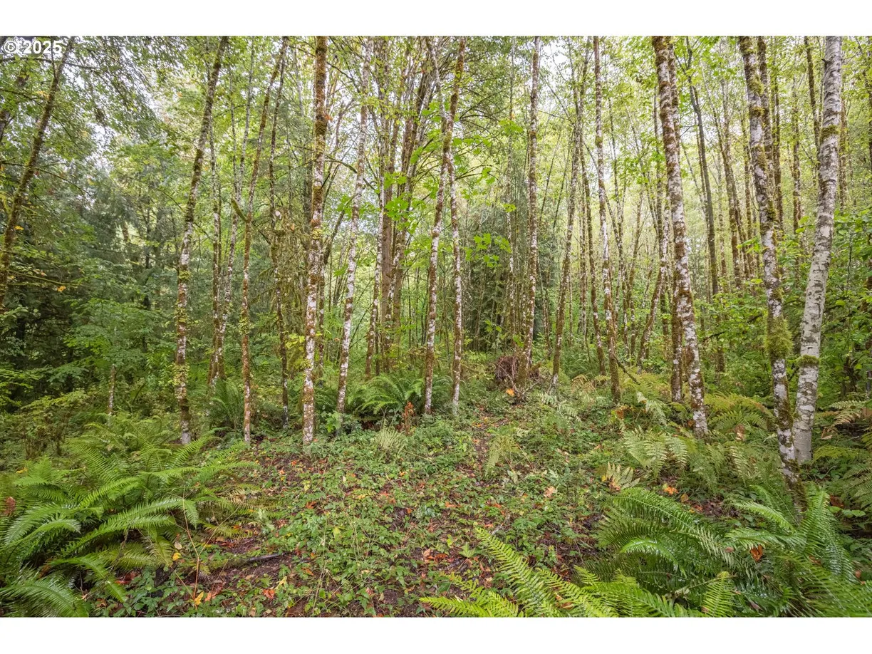 SEC 34 TWN 4N RNG 2W, Scappoose, OR 97056 Property for sale