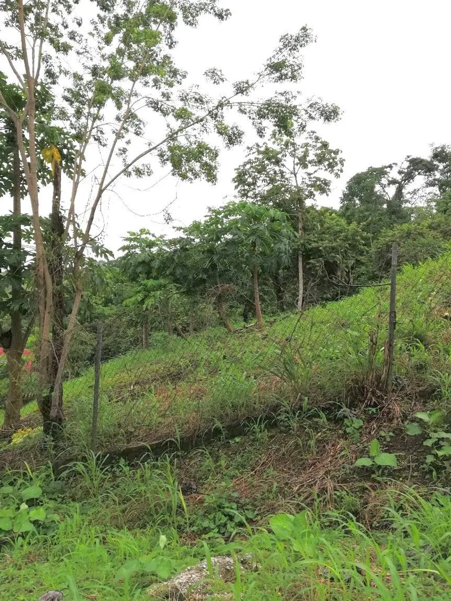 Lot E-7a Calle Del Cerro Con La Calle Diagonal, Las Cumbres, Property ...