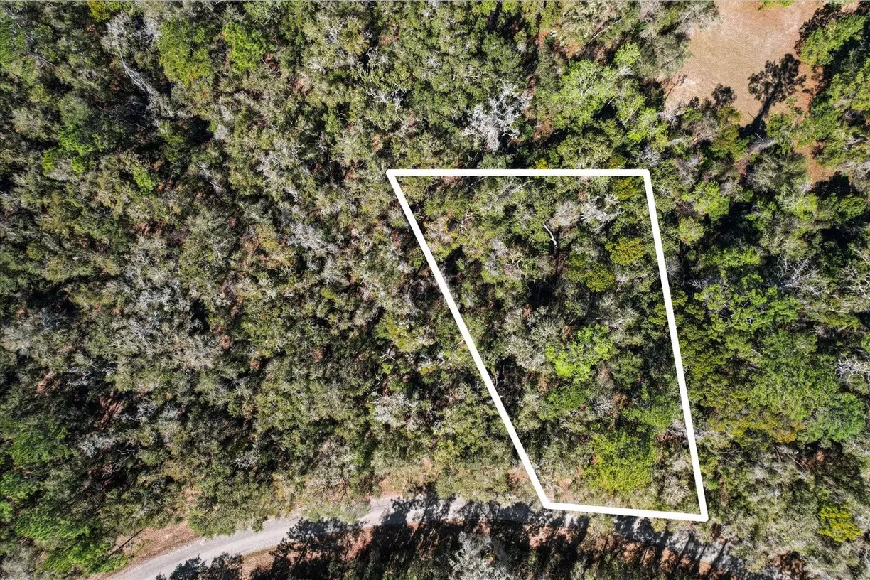 987 E ODIN Drive, Dunnellon, FL 34434 Property for sale