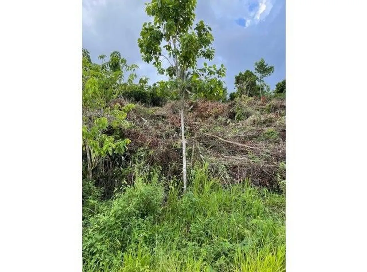 0000 139 Court, Dunnellon, FL 34432 Property for sale