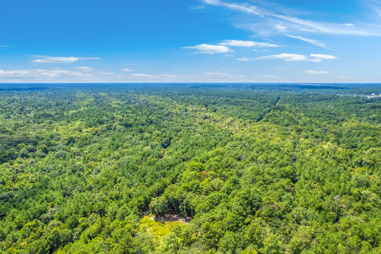 2 Shadow Pond Road, Johns Island, SC 29455 Property for sale