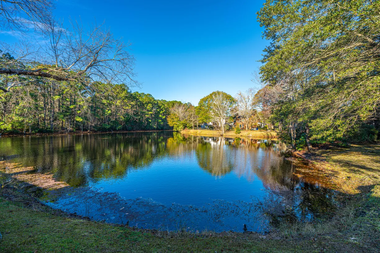 2652 Scarlet Oak Ct Court, Mount Pleasant, SC 29466 Property for sale