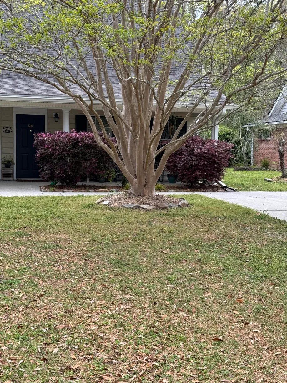 3200 Queensgate Way, Mount Pleasant, SC 29466 Property for sale