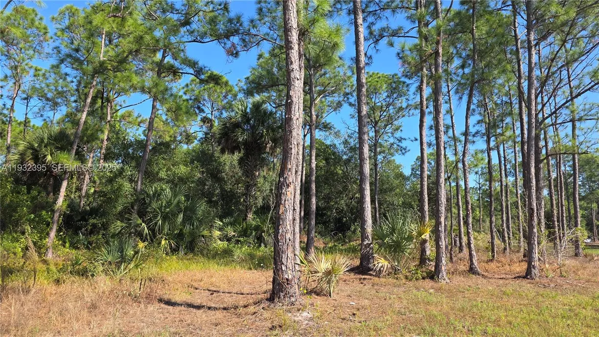 645 S Jasmine ST, Clewiston, FL 33440 Property for sale