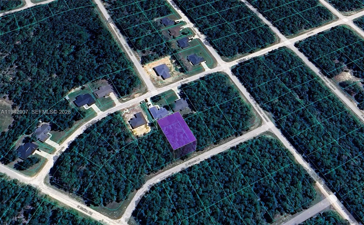 165 E Simms Lane, Citrus Springs, FL 34434 Property for sale